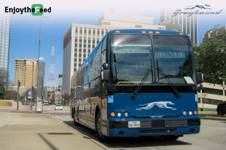 Greyhound Promotions Calendar: Maximizing Savings Year-Round – Enjoythefeed