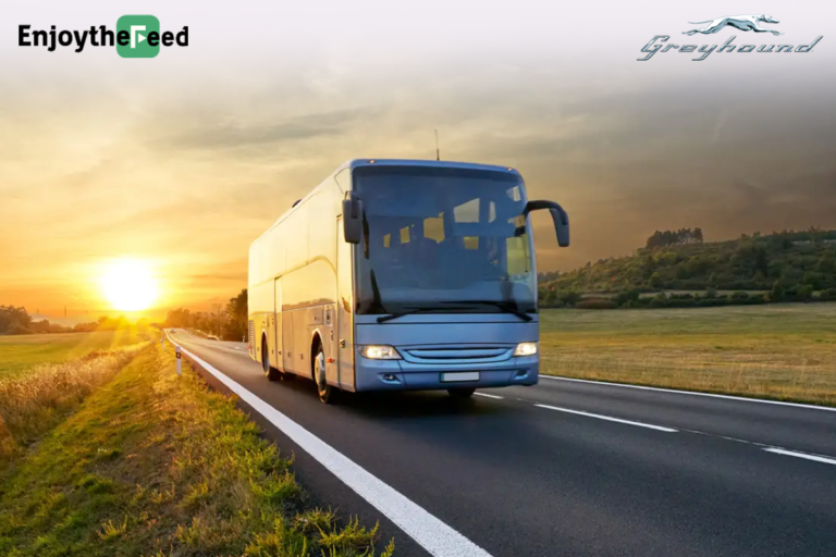 Greyhound Bus Stations Near Me and How to Find Them – Enjoythefeed